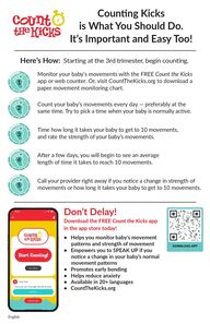 Digital Education- How to Count